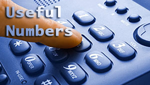 Useful Phone Numbers