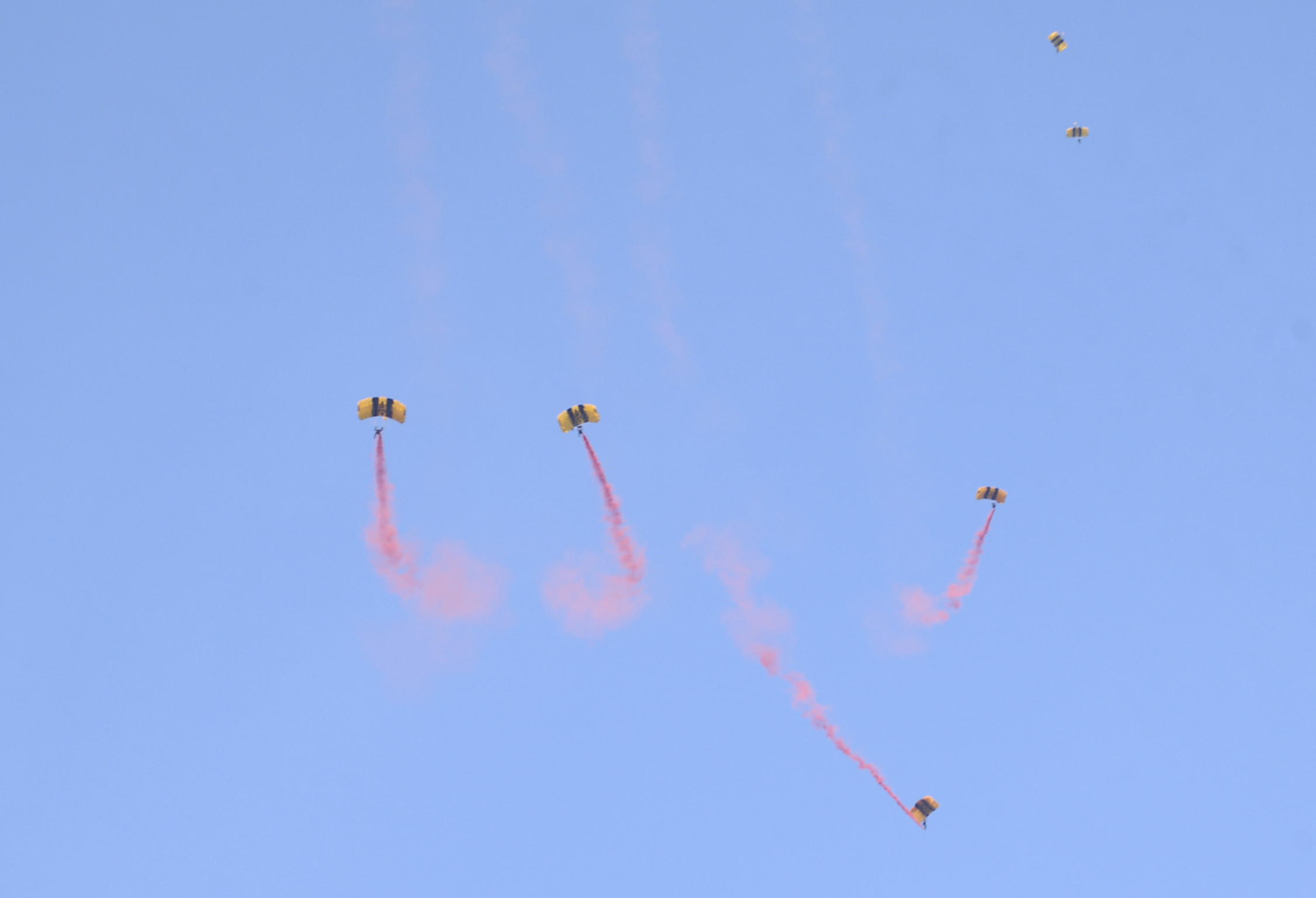 Pope Airmen win big at Warriors on the Water > Pope Field > Article Display