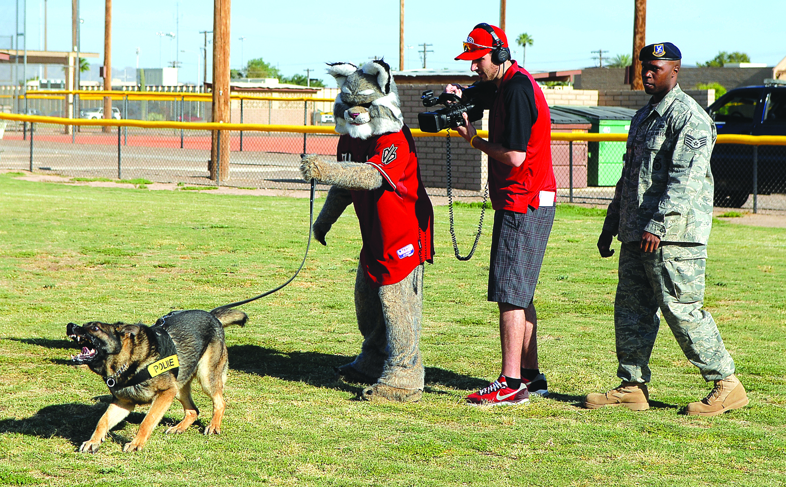 Baxter releases the dogs