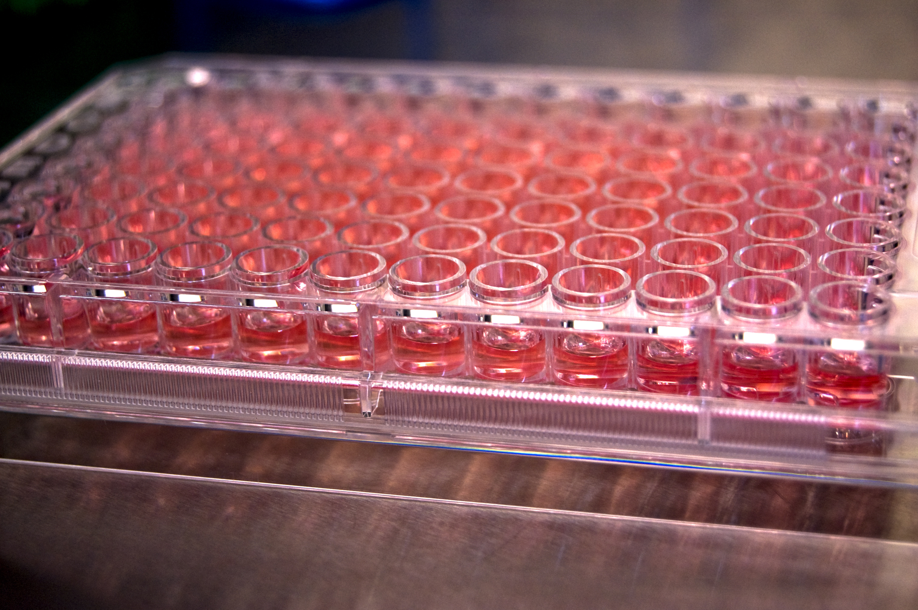 Each well in the MIMIC system’s 96-well plastic plate represents a ...