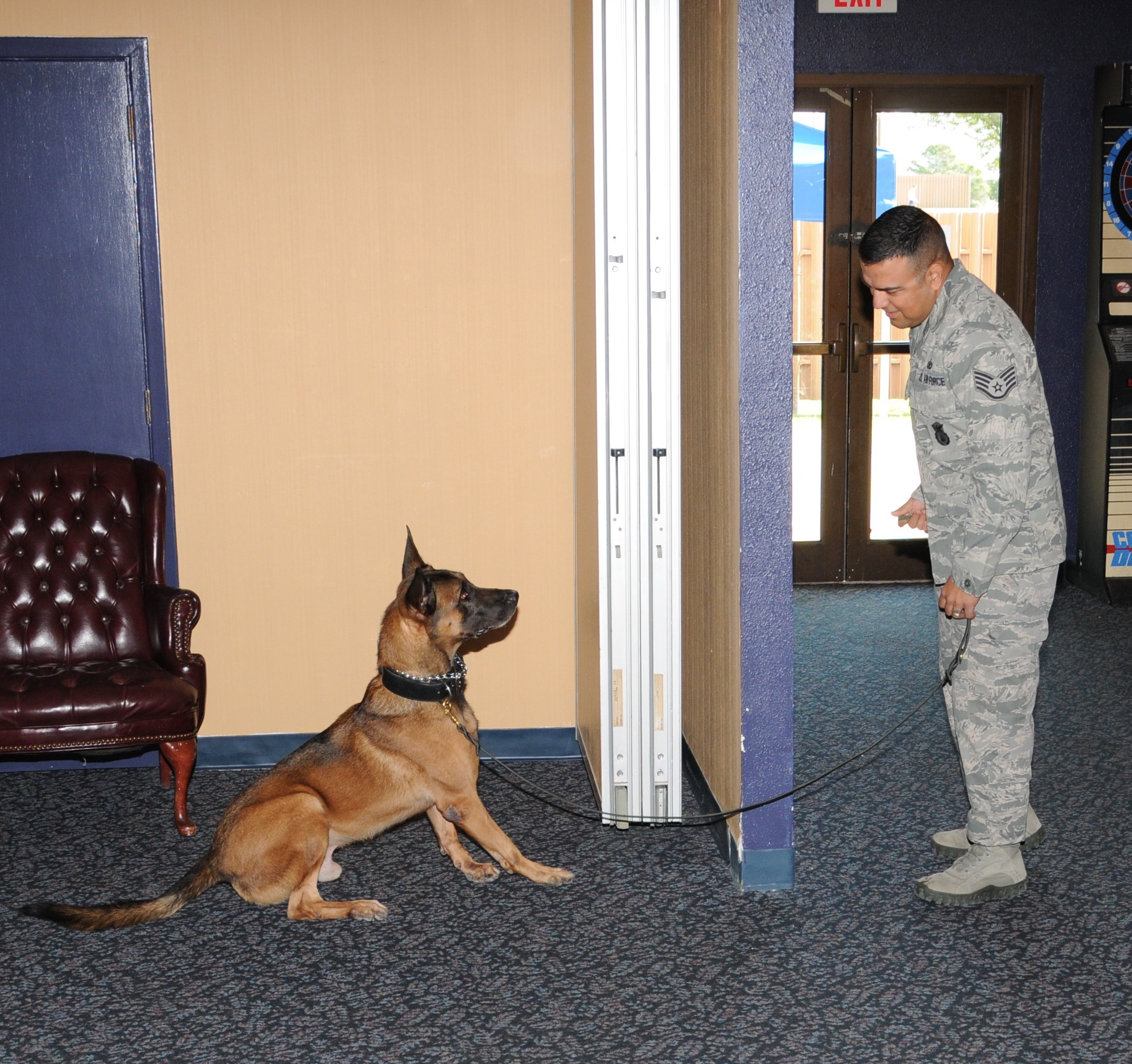 Military Working Dog