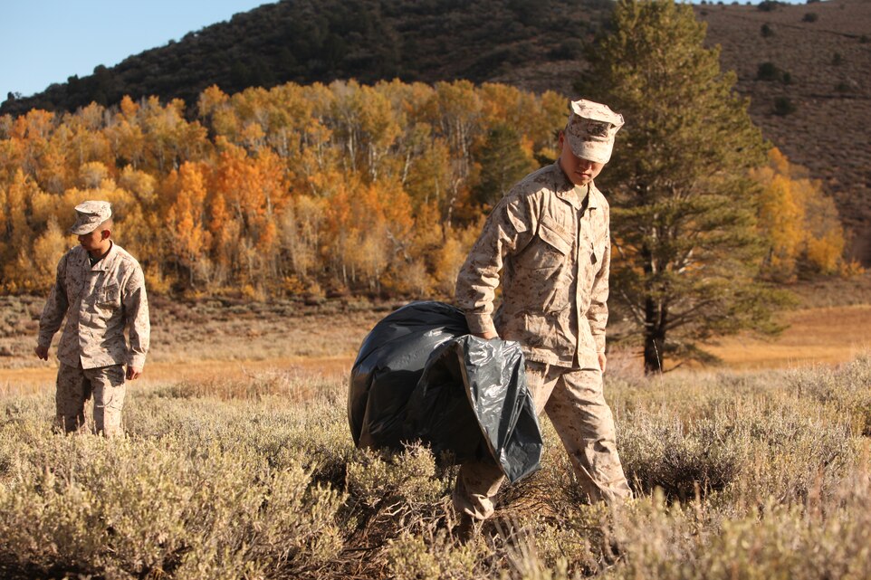 Operation Mountain Sweep maintains forest beauty > Marine Corps Air ...