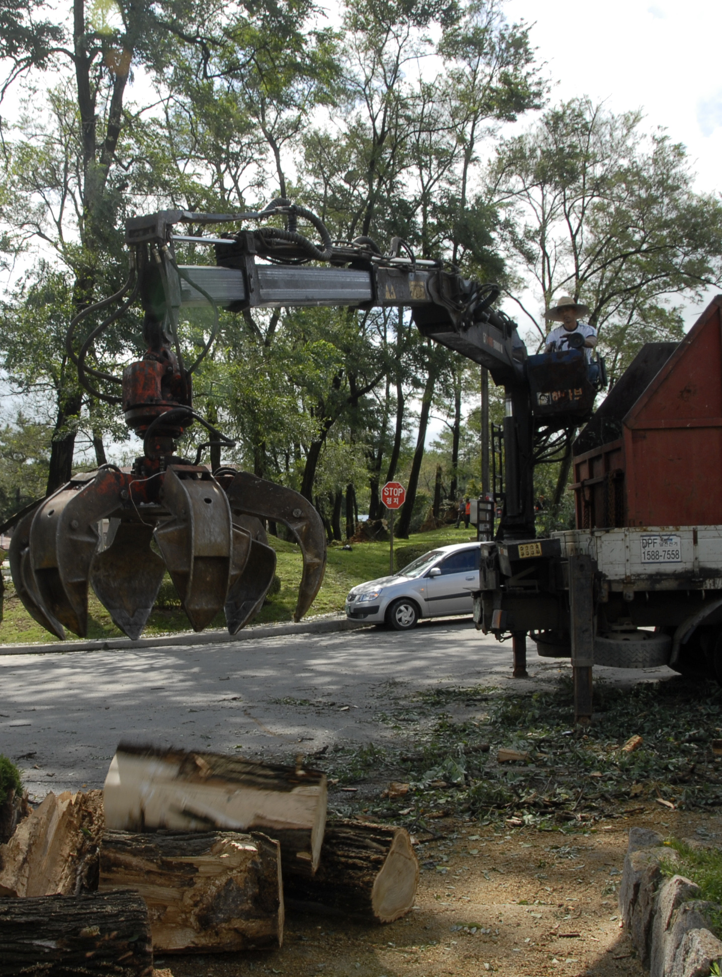 Typhoon clean-up!