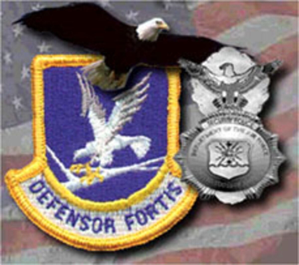 New Pass, Registration Web site revs up > Aviano Air Base > Display