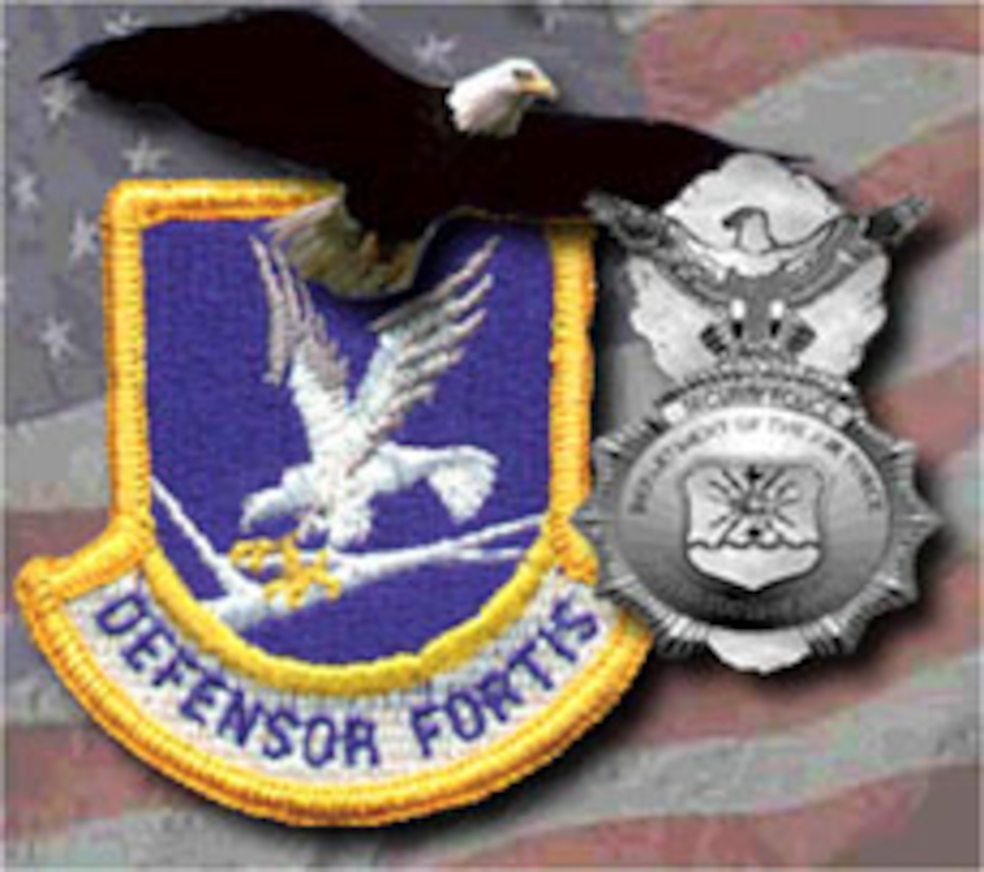 New Pass, Registration Web site revs up > Aviano Air Base > Display