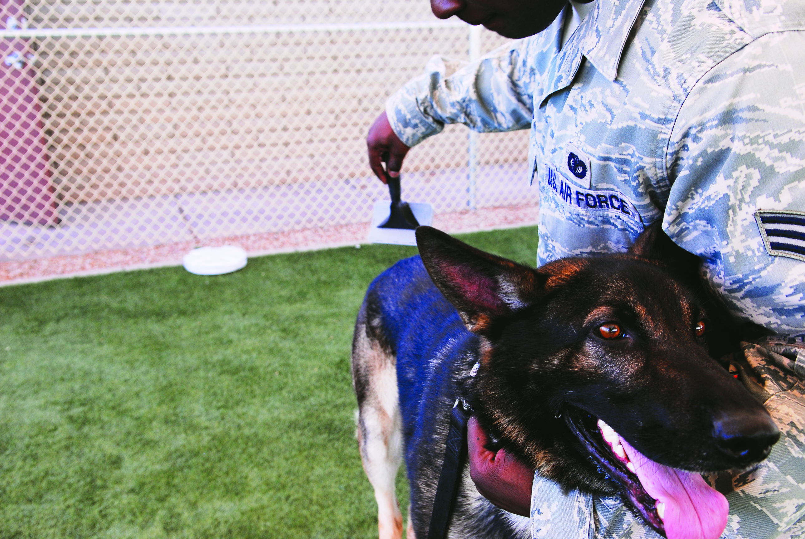 MWDs from BMT to retirement > Air Education and Training Command ...