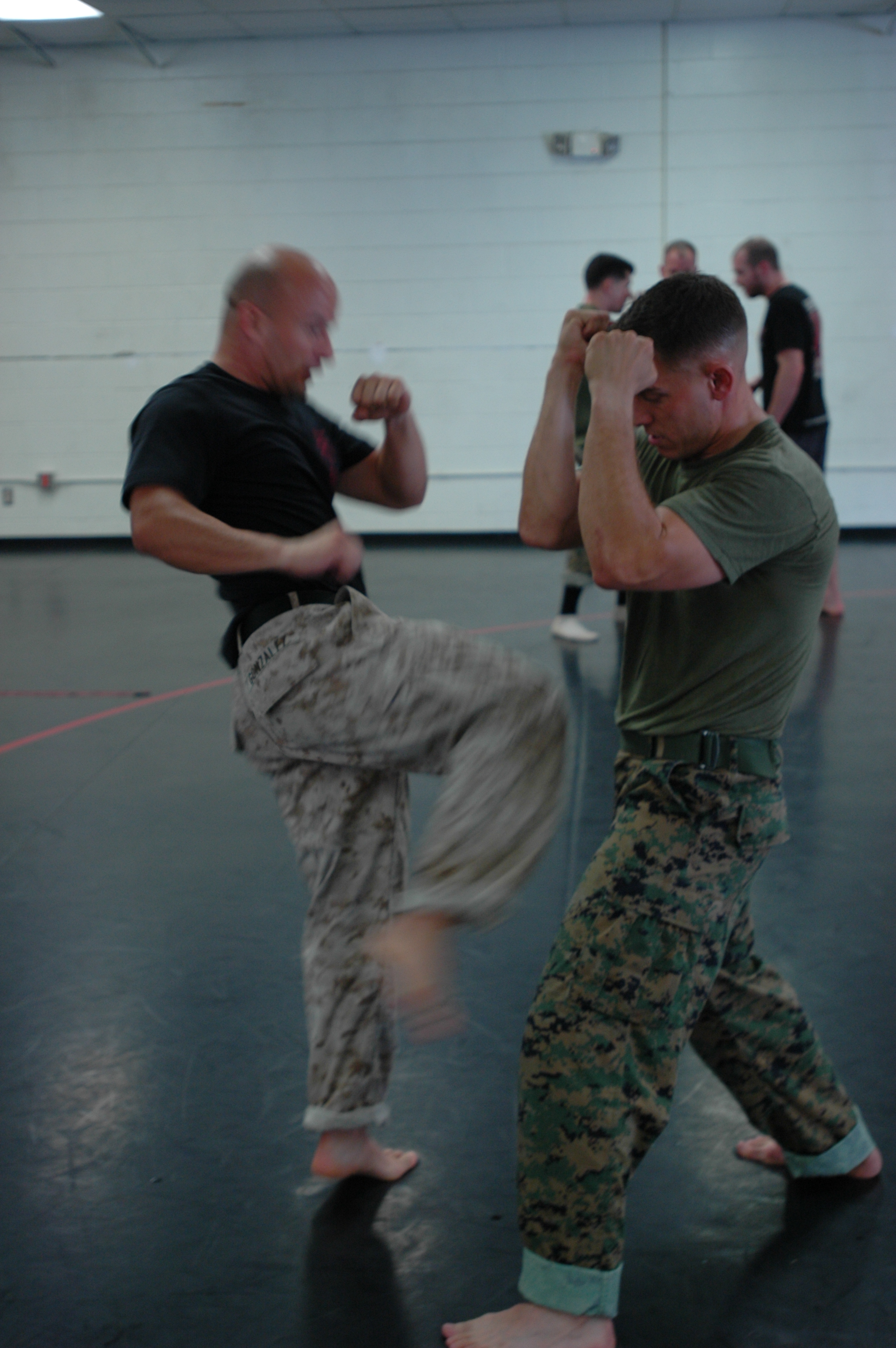 Depot Marines train with UFC fighters > Marine Corps Training and ...
