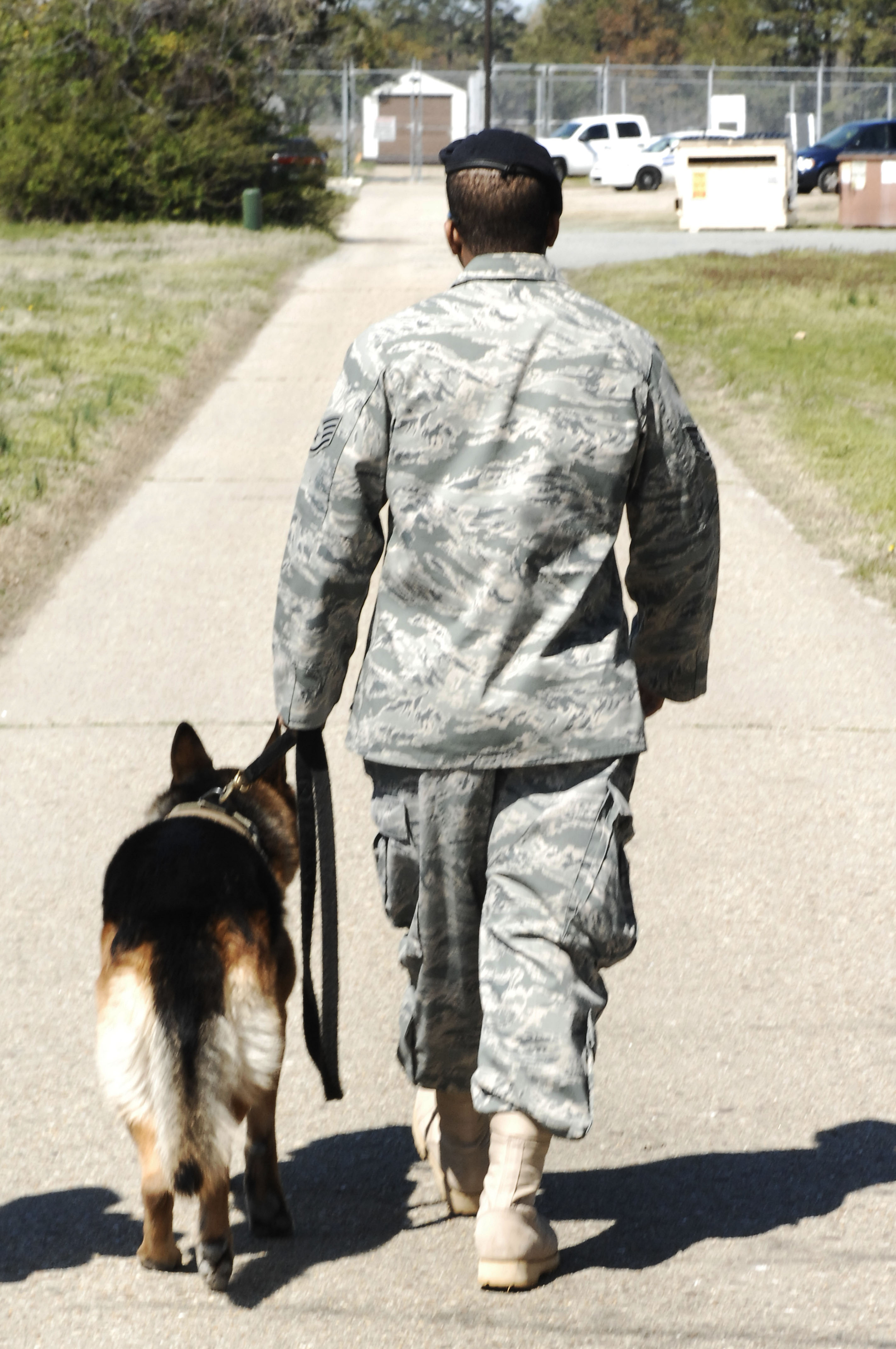 Dedicated canines take part in the JBLE mission > Joint Base Langley ...