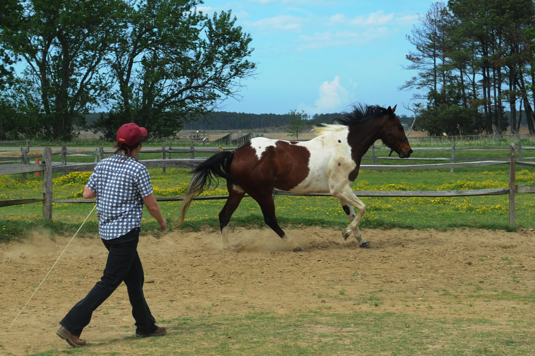 Langley Air Force Base Horse Stables