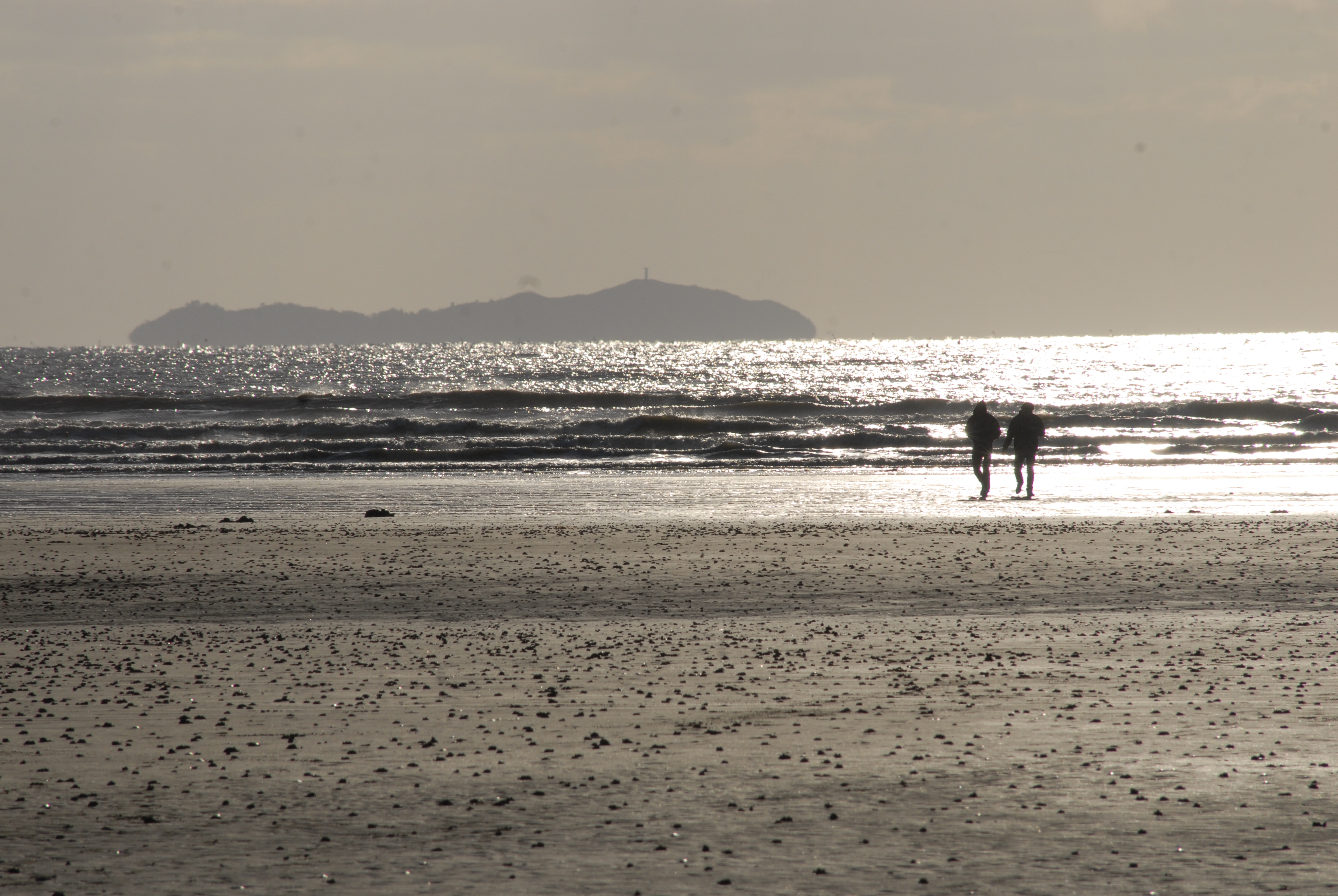 National Parks of Korea: Taeanhaean > Osan Air Base > Article Display