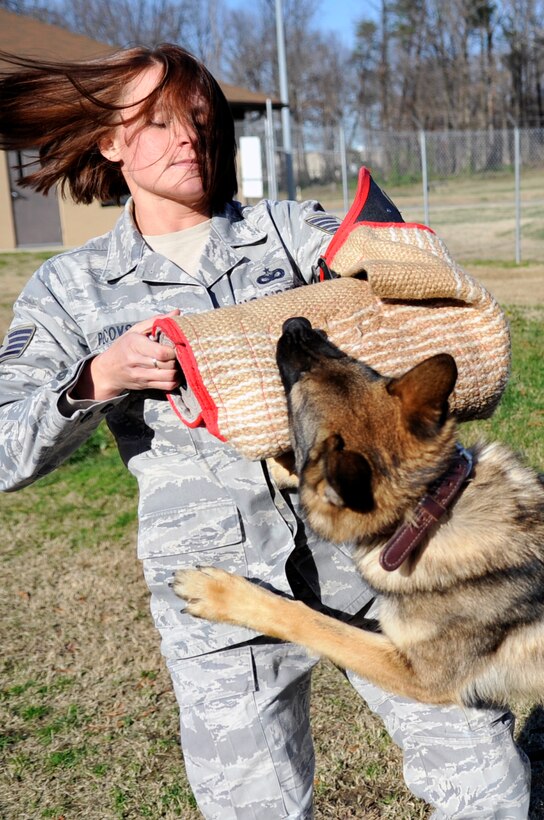 Andrews Military Working Dogs
