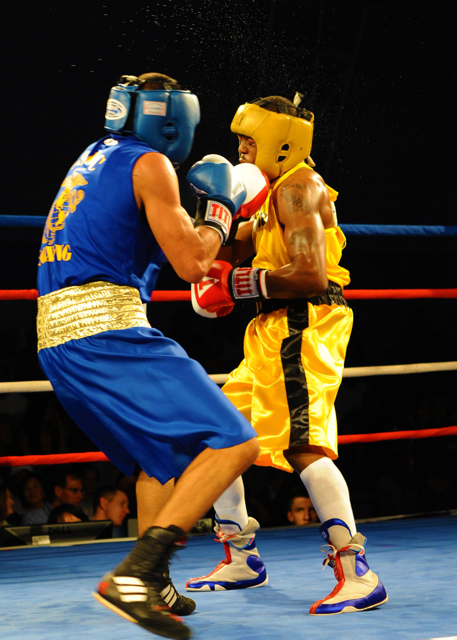 2011 Armed Forces Boxing Championships