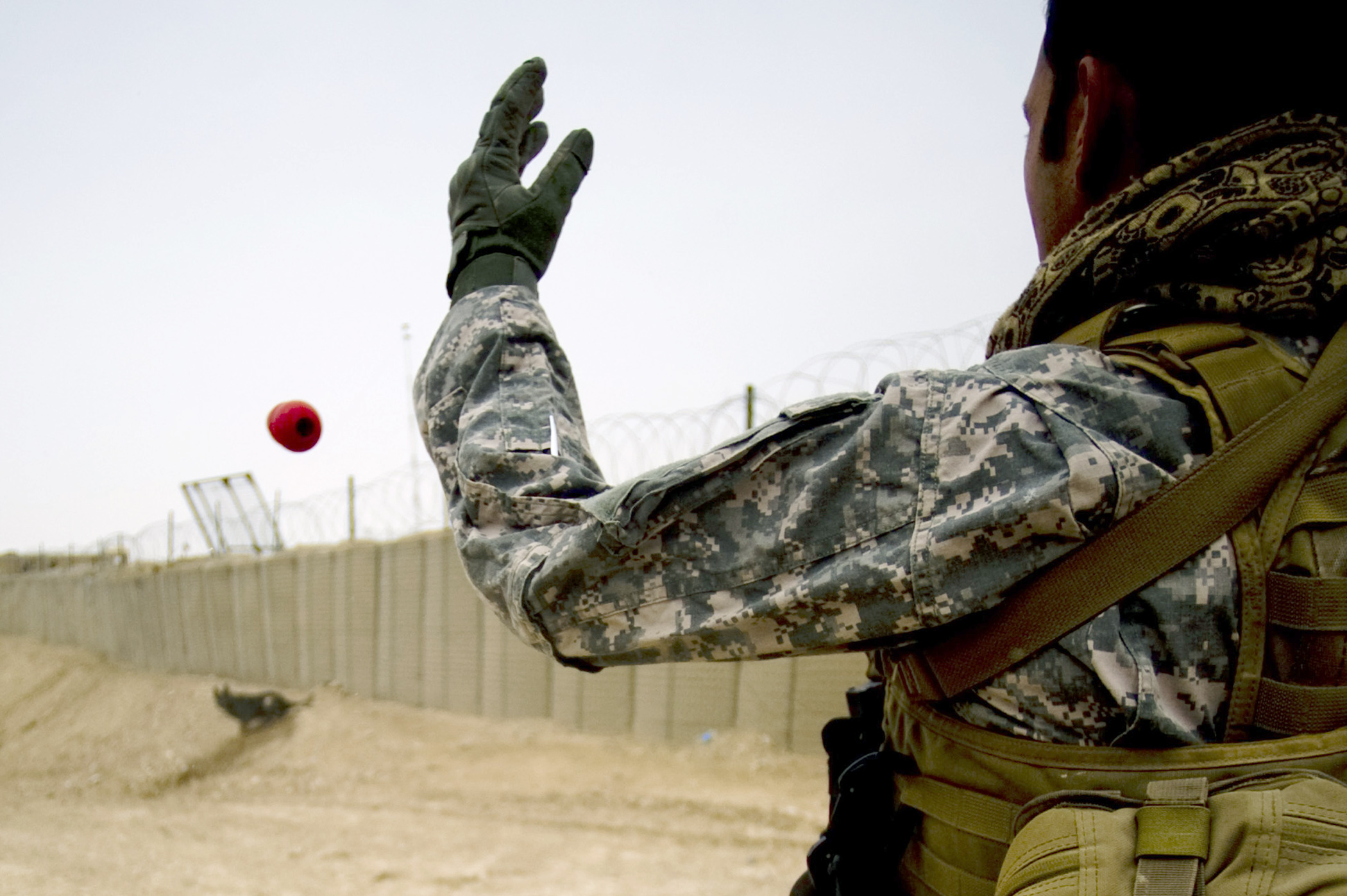 Bringing more bark to fight in Afghanistan > Air Force > Features