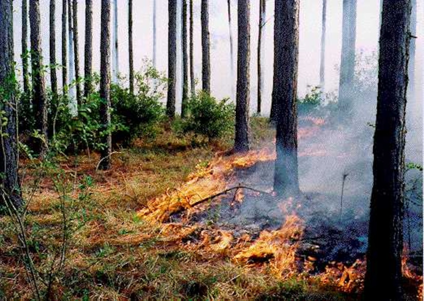 Fighting fire with fire > Joint Base Charleston > News