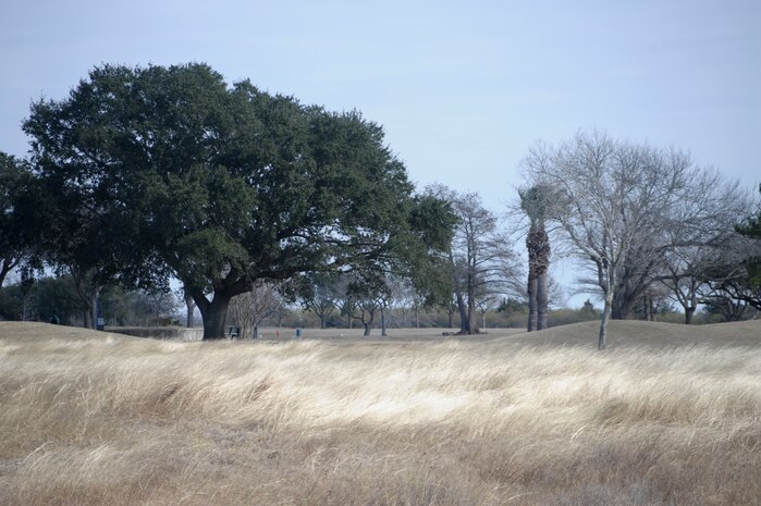 Randolph Oaks Golf Course