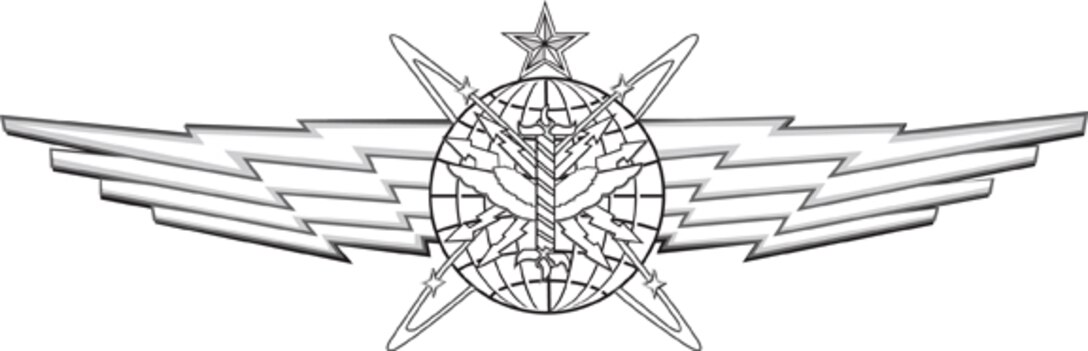Cyberspace Support Badge-Senior (Shaded)