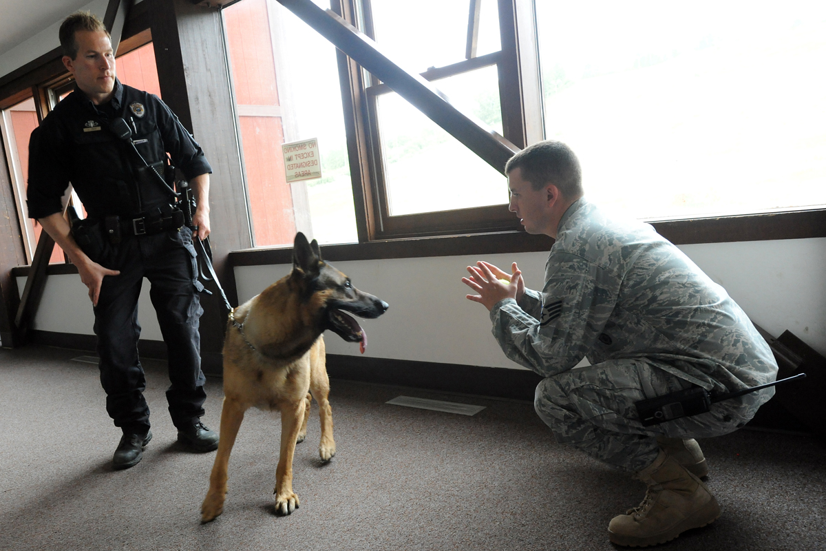 K-9 explosives training > Joint Base Elmendorf-Richardson > News
