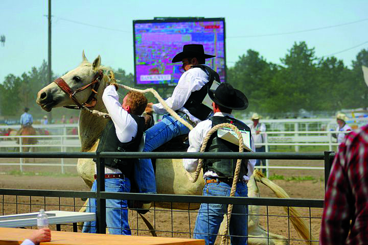 Warren's own participate in Cheyenne Frontier Days rodeo > F.E. Warren ...