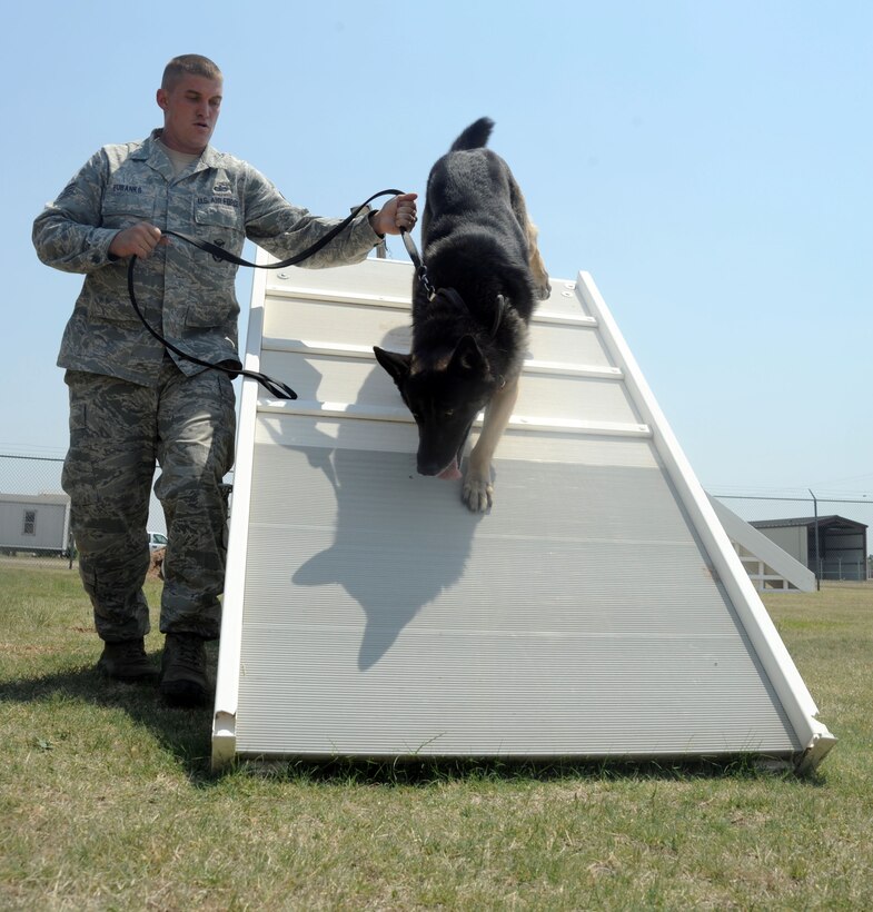 Working Military Dogs on Altus AFB