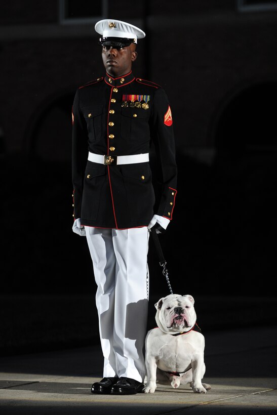 Cpl. C.P. Harris presents the Barrack's Mascot, Chesty, during an ...