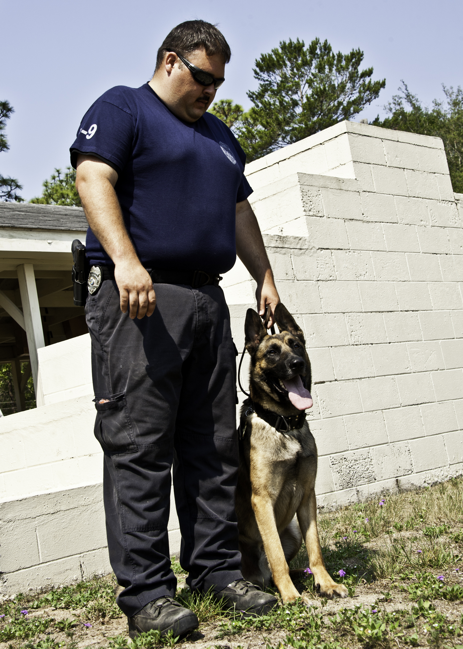 Local K-9 team trains with Eglin security forces > Eglin Air Force Base ...