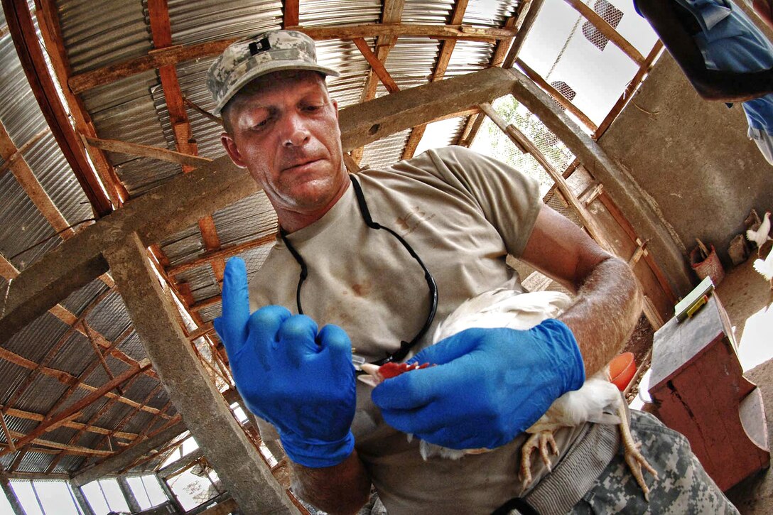 U.S. Army Capt. Kenneth Collins gives a chickens deworming drops during ...