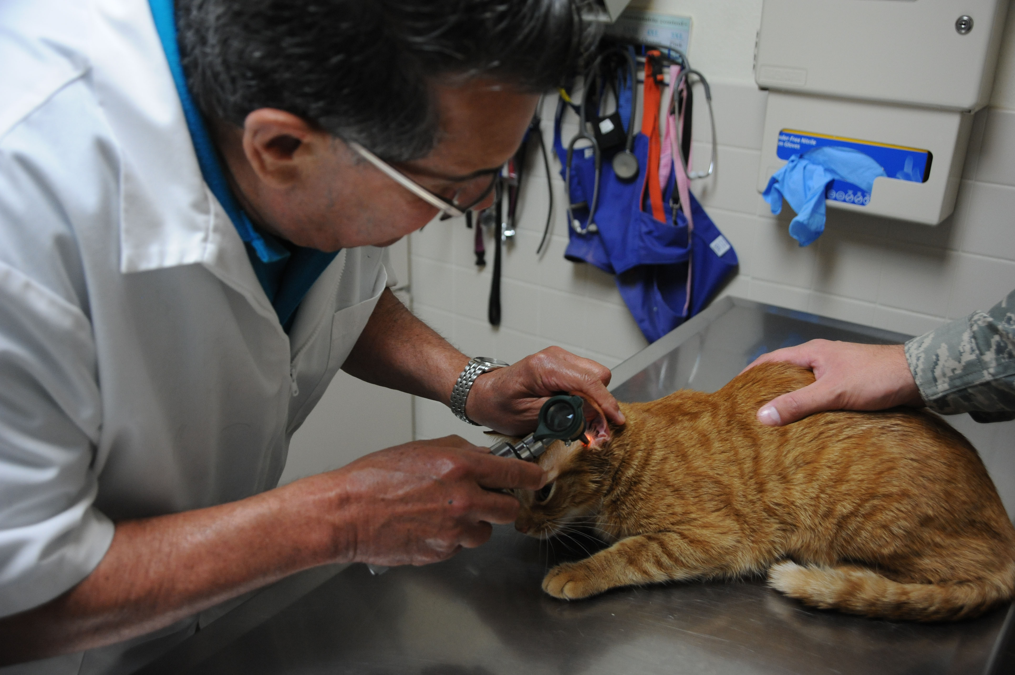 Vet Clinic