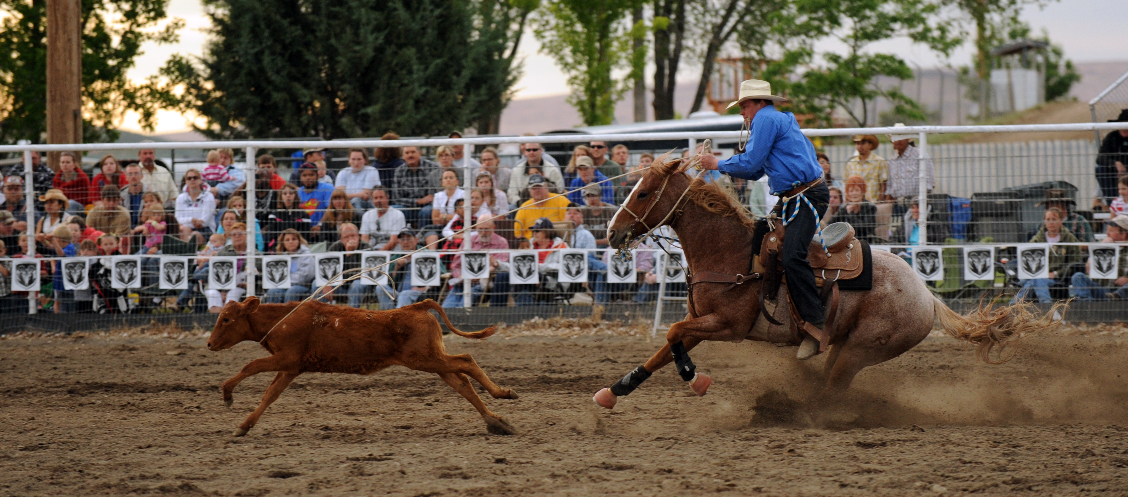 Gunfighters take on the rodeo! > Mountain Home Air Force Base > Article ...