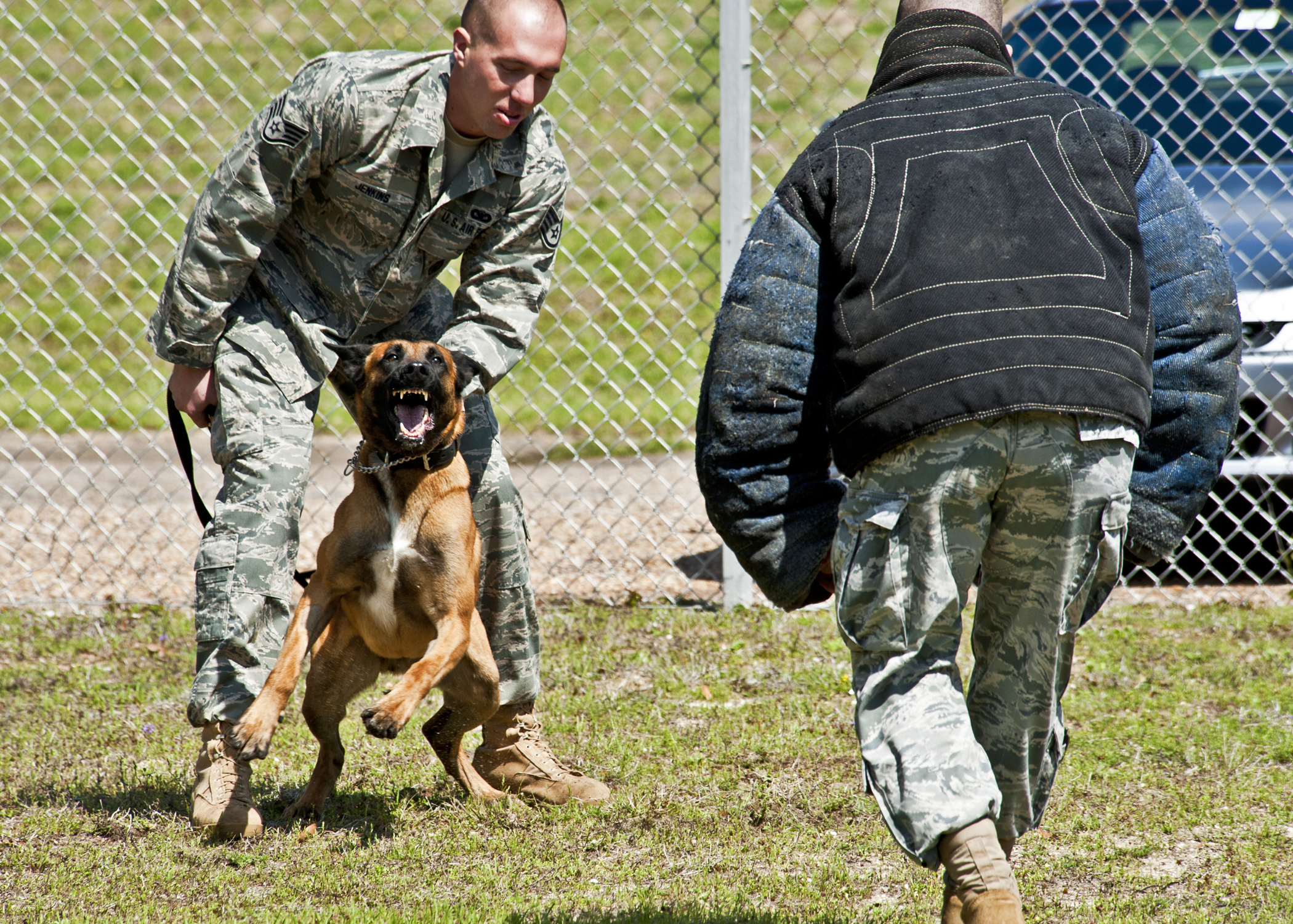 K-9 team's bond critical to mission, long lasting > Eglin Air Force ...