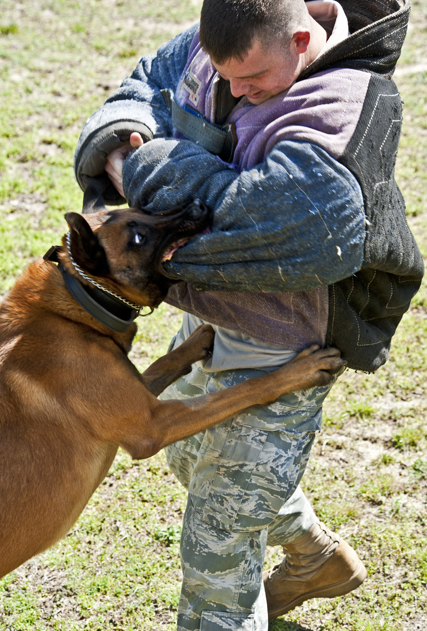 K-9 team's bond critical to mission, long lasting > Eglin Air Force ...