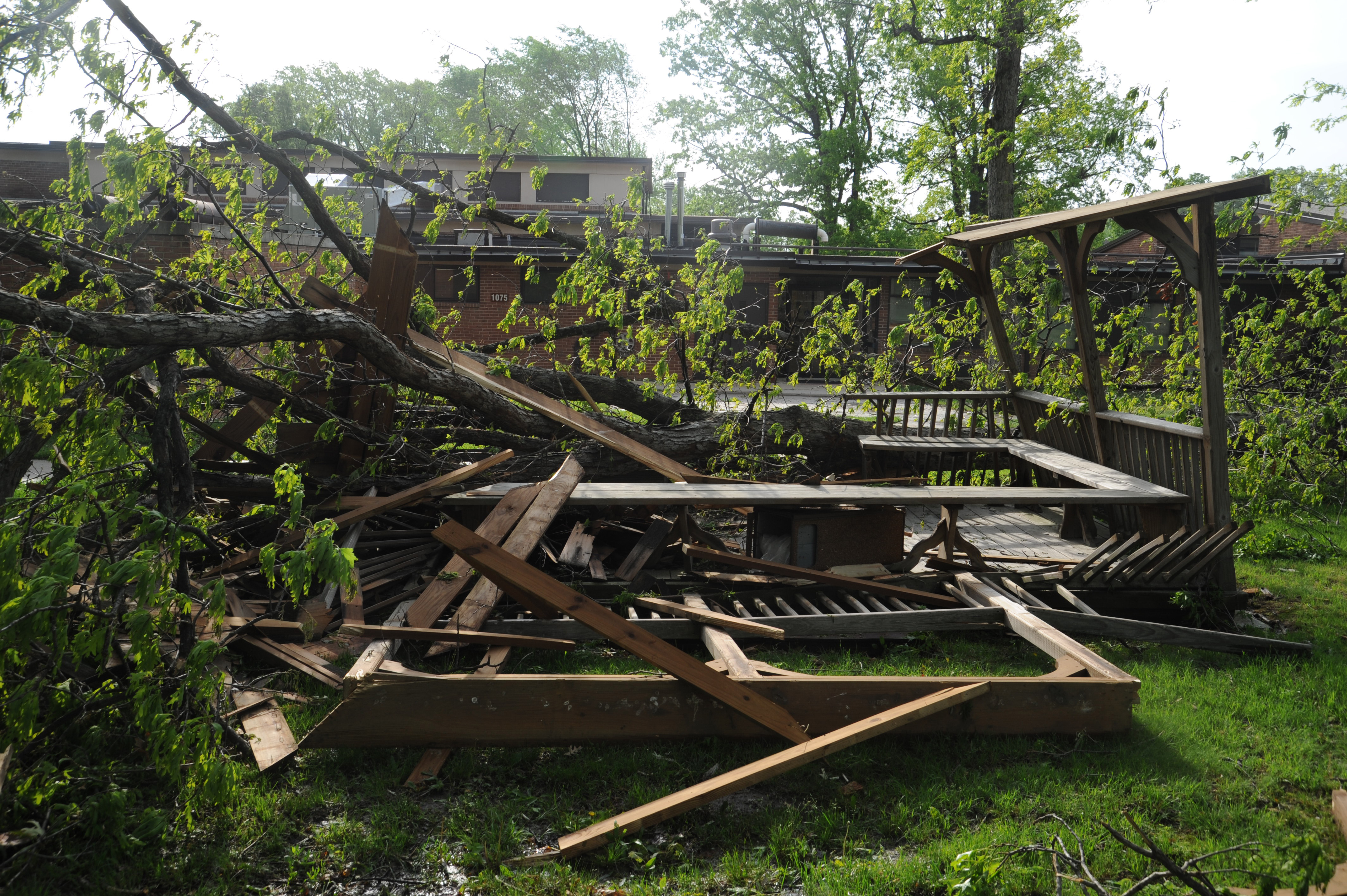 Andrews weathers the storm