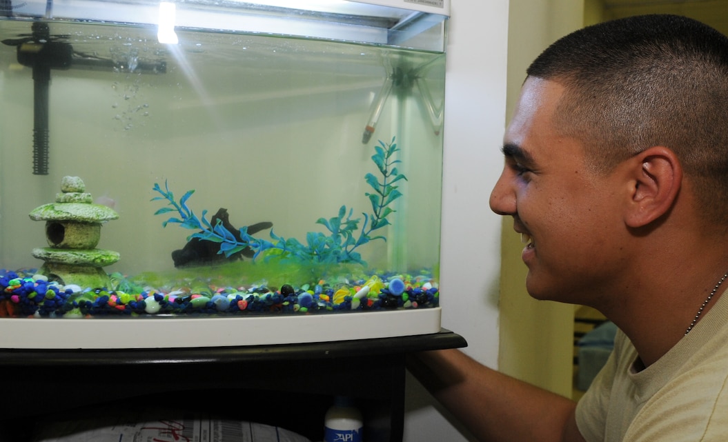 Airmen work to bring home memory of fallen Soldier > United States ...