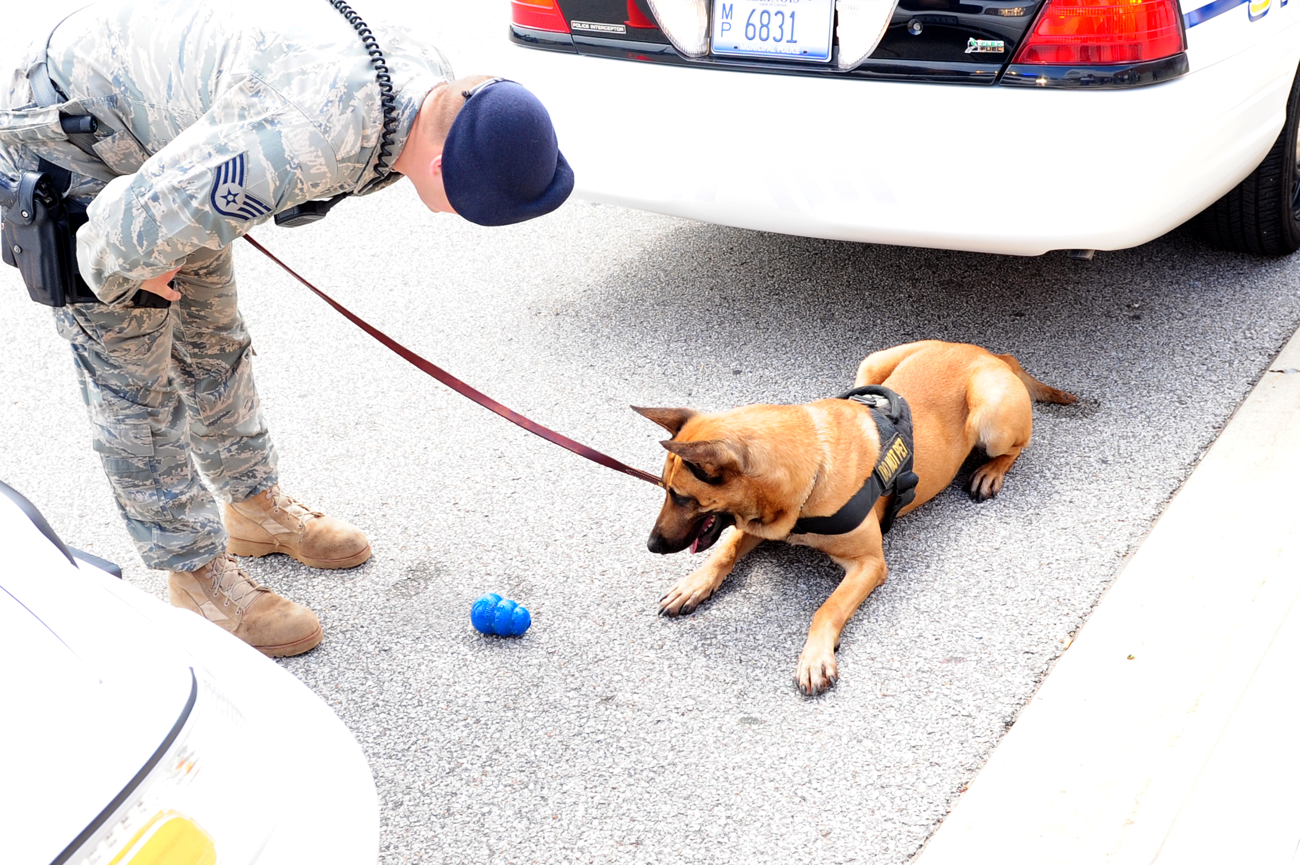 sergeant andrew jack