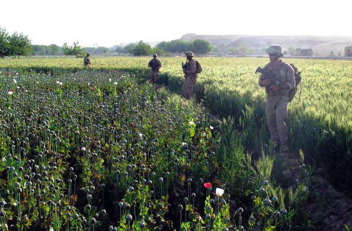 2nd Recon Second to None in Afghanistan > United States Marine Corps ...