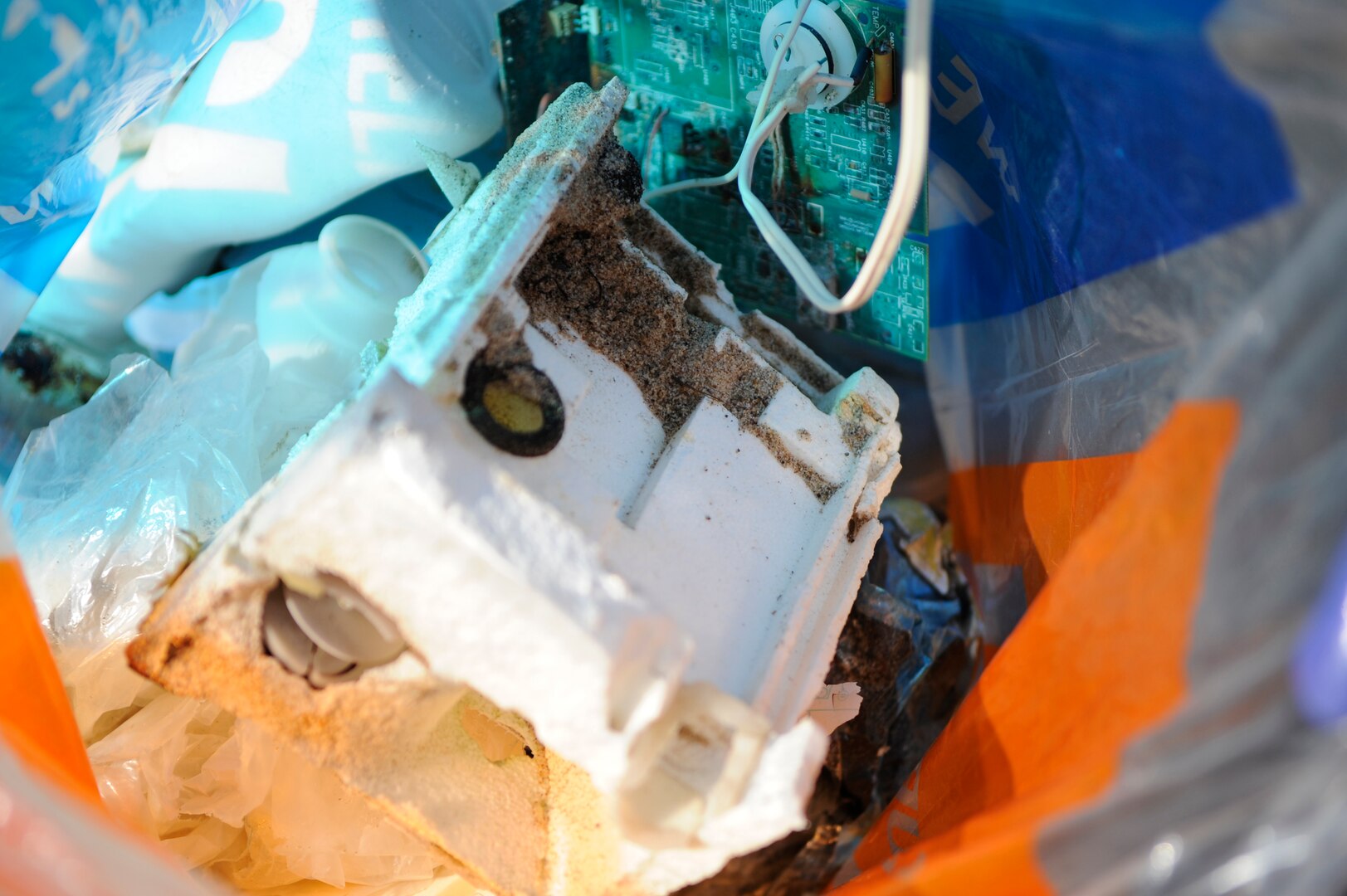 Team V hosts Beach Cleanup Day > Vandenberg Space Force Base > Article ...