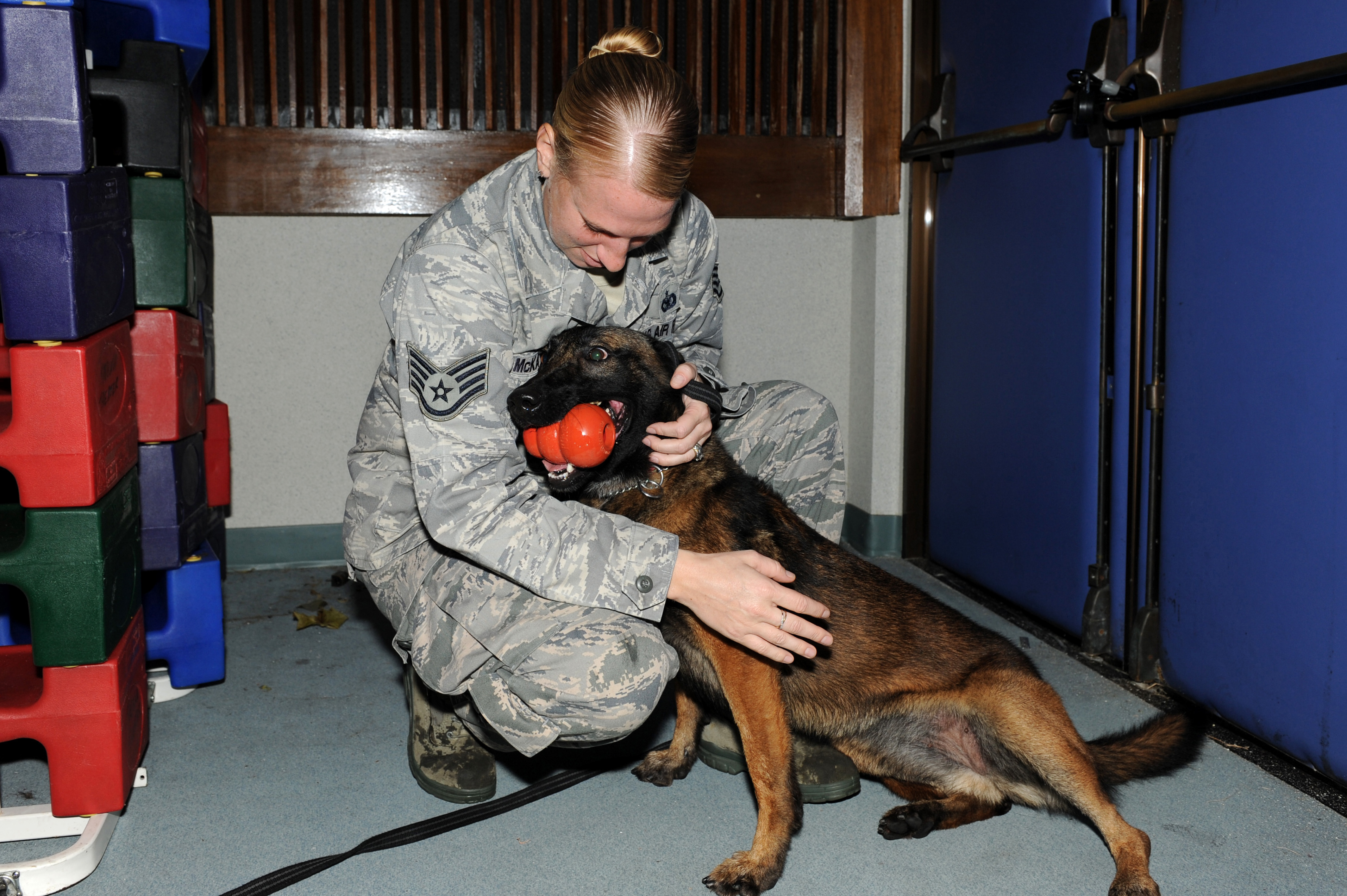 Teaming up K-9s, handlers > Pacific Air Forces > Article Display