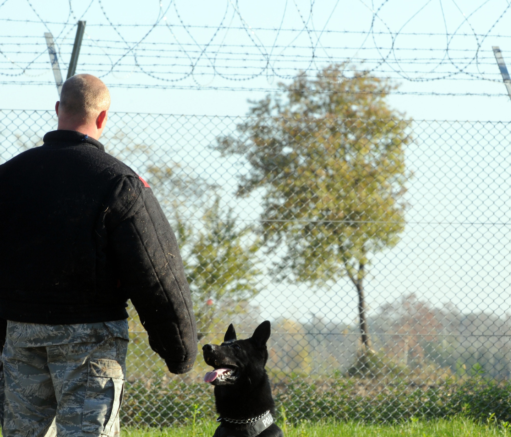 Military Working Dogs: Trained to protect > Aviano Air Base > Display