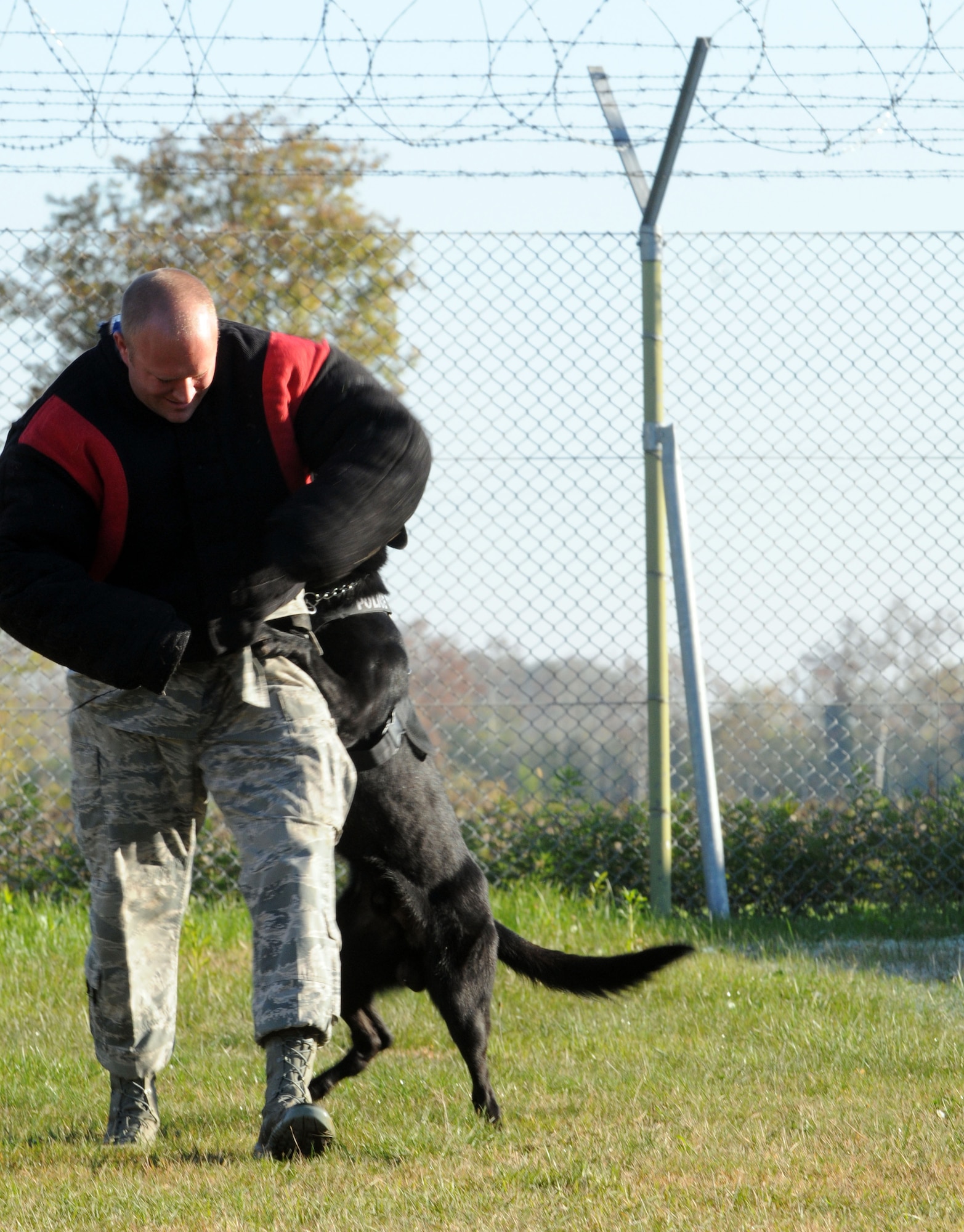 Military Working Dogs: Trained to protect > Aviano Air Base > Display