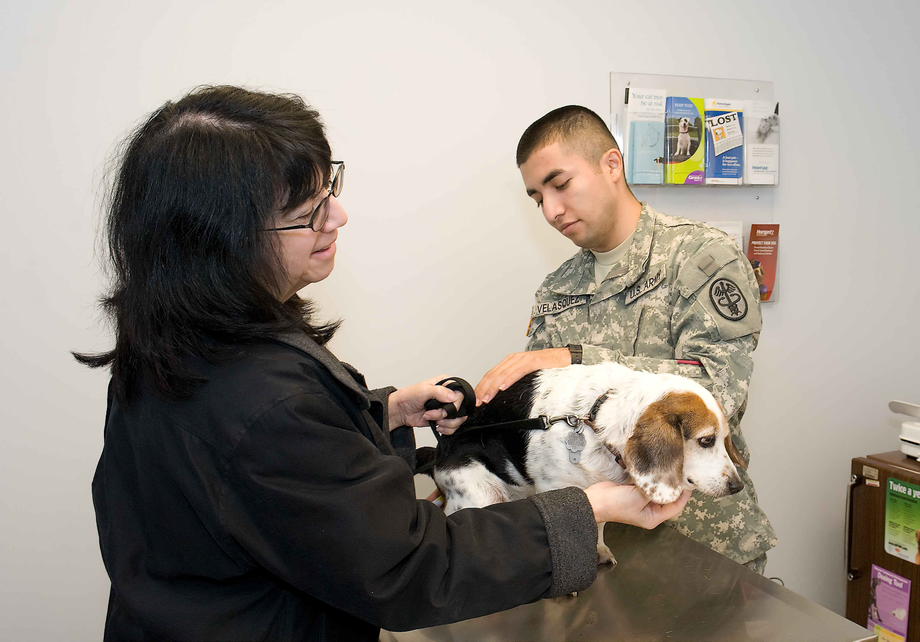 Keeping pets safe, healthy during winter > Dover Air Force Base ...