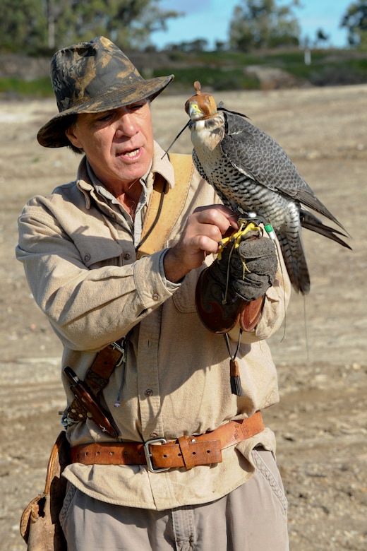 Avian vs. predator > Vandenberg Space Force Base > Article Display