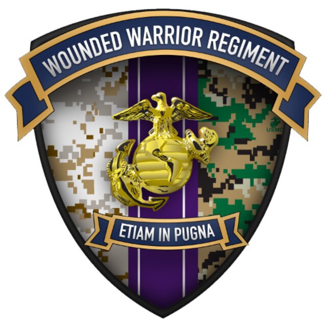 Warrior Care Month: Highlighting a vital outreach capability ...