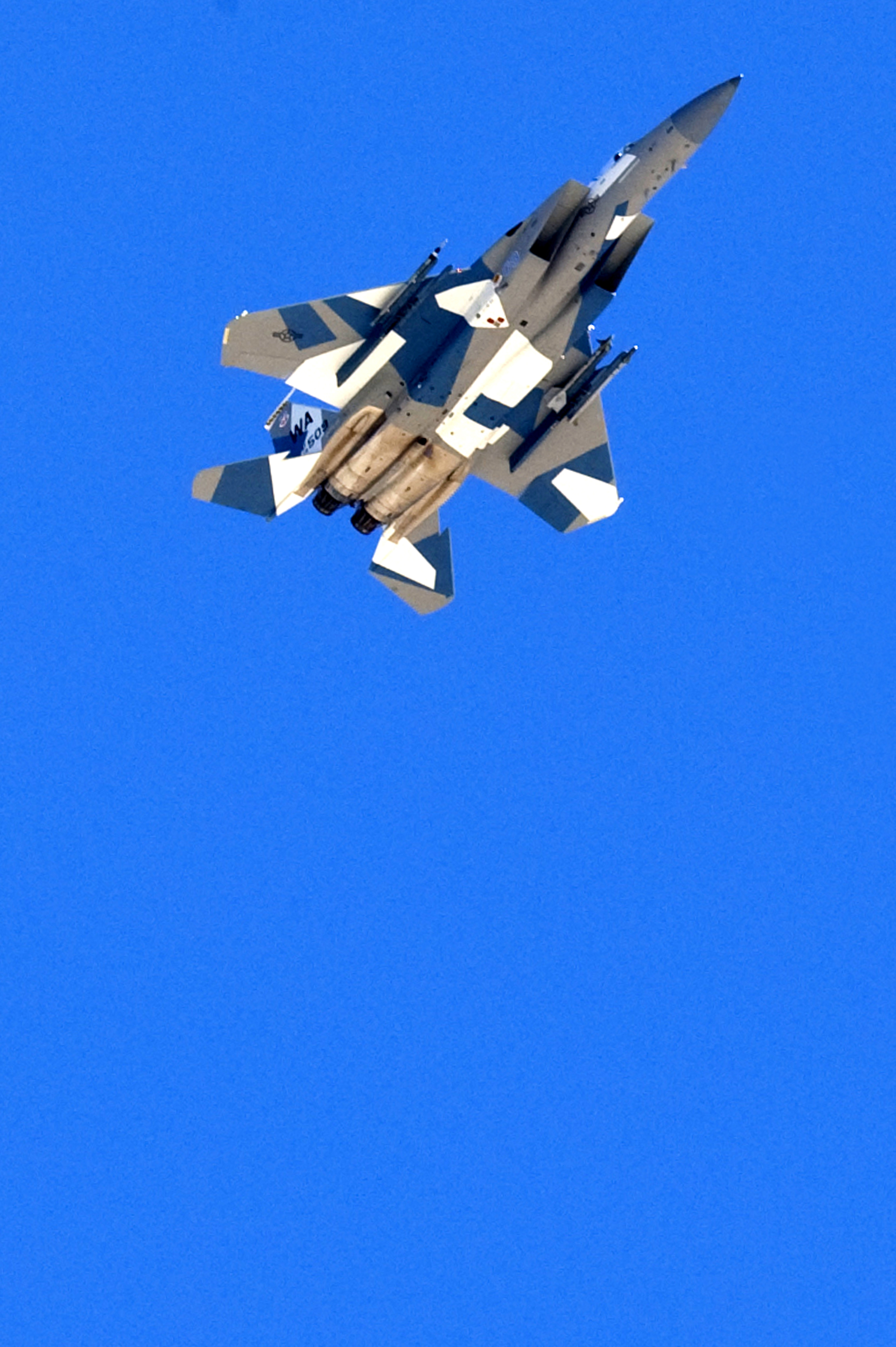 65th Aggressor Squadron's New Paint Scheme