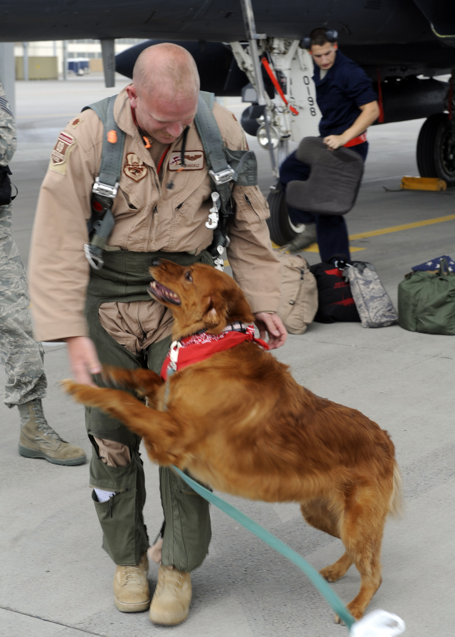 389th Fighter Squadron return > Mountain Home Air Force Base > Article ...