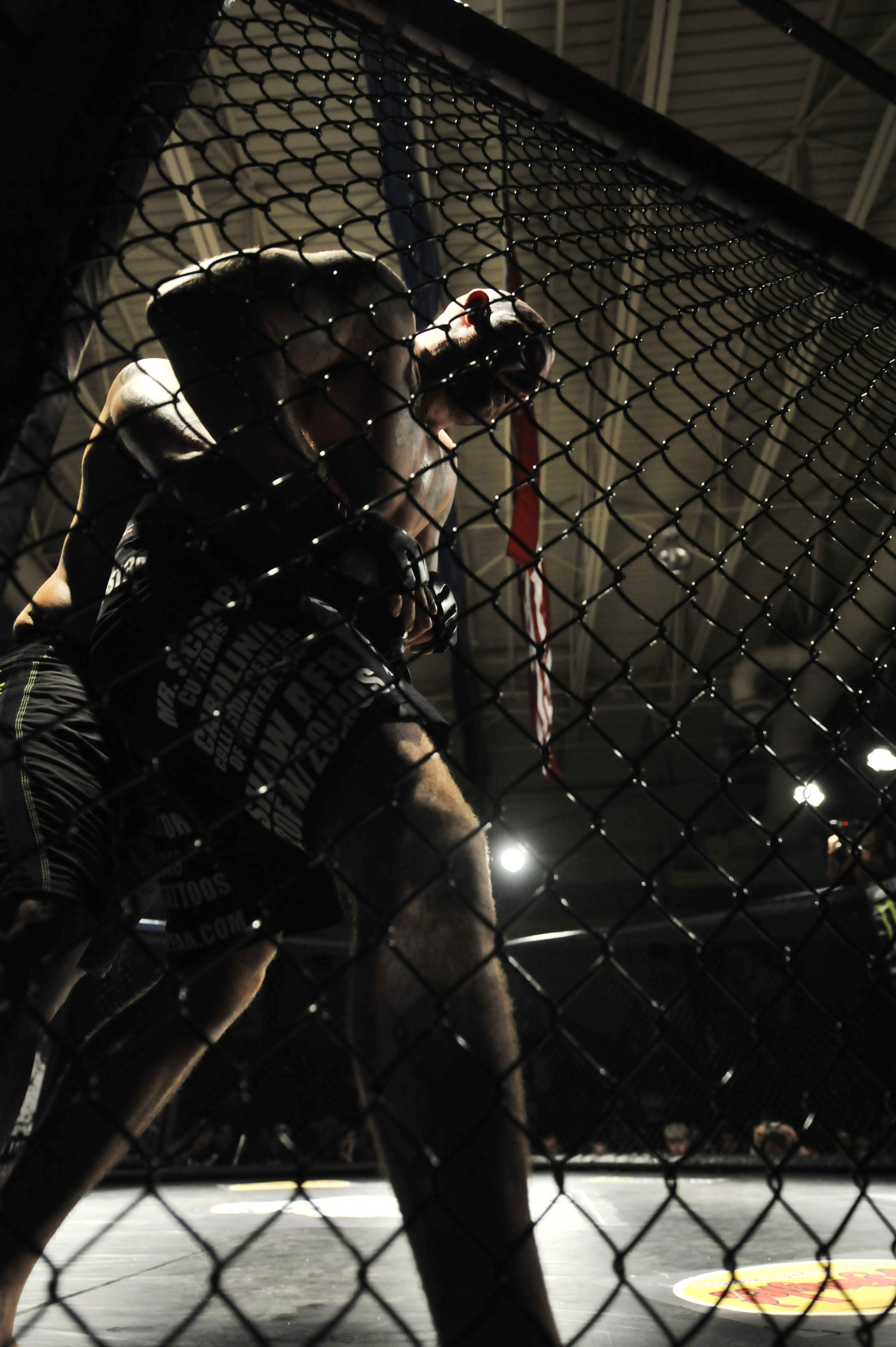 Hundreds attend MMA night > Shaw Air Force Base > Article Display