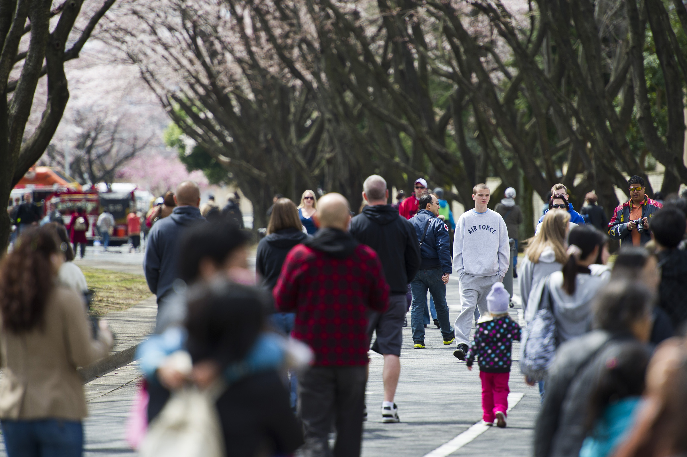 Community converges on Sakura Walk 2012 > Yokota Air Base > Article Display