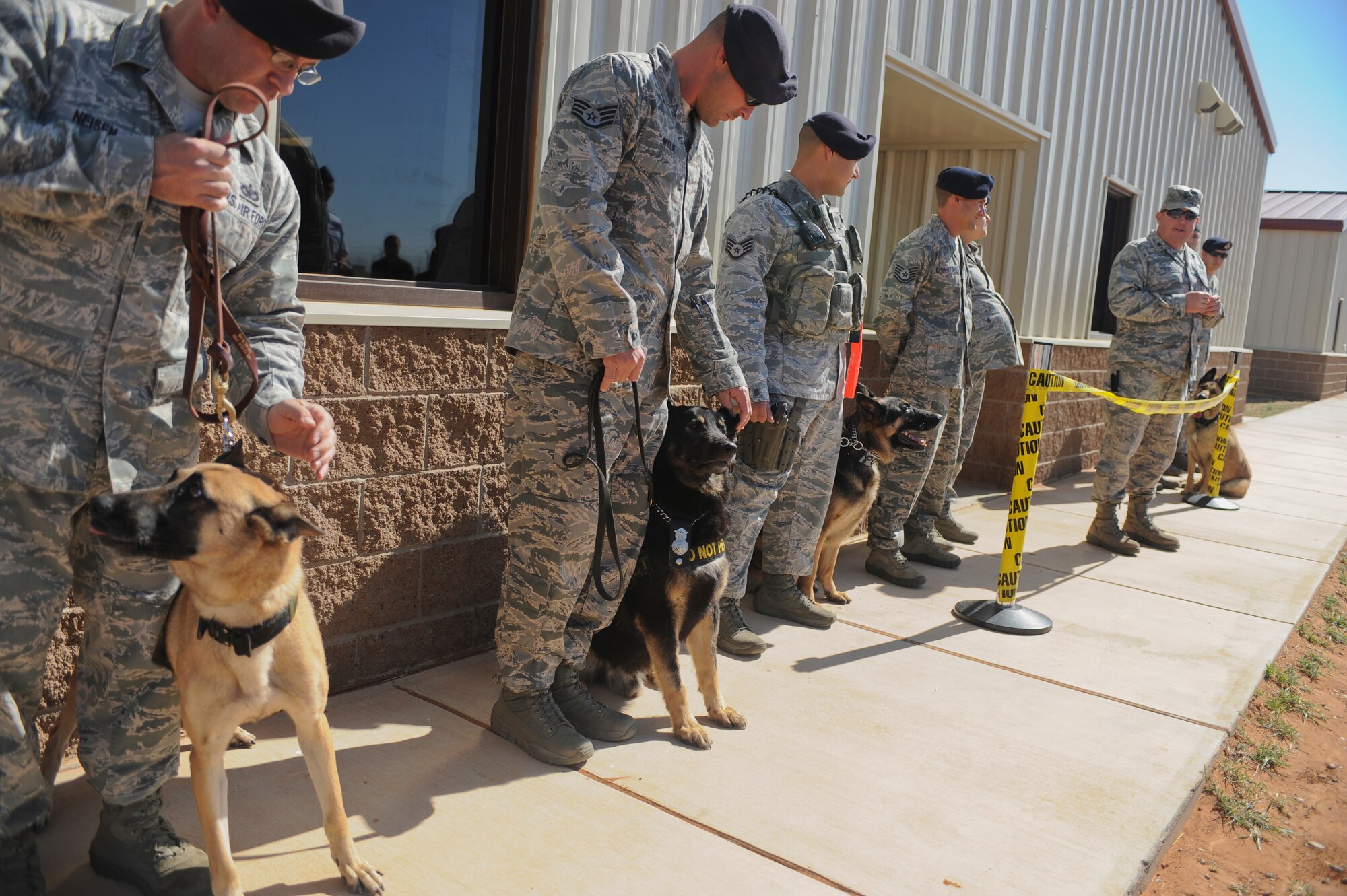 Home is where the "bark" is > Cannon Air Force Base > News