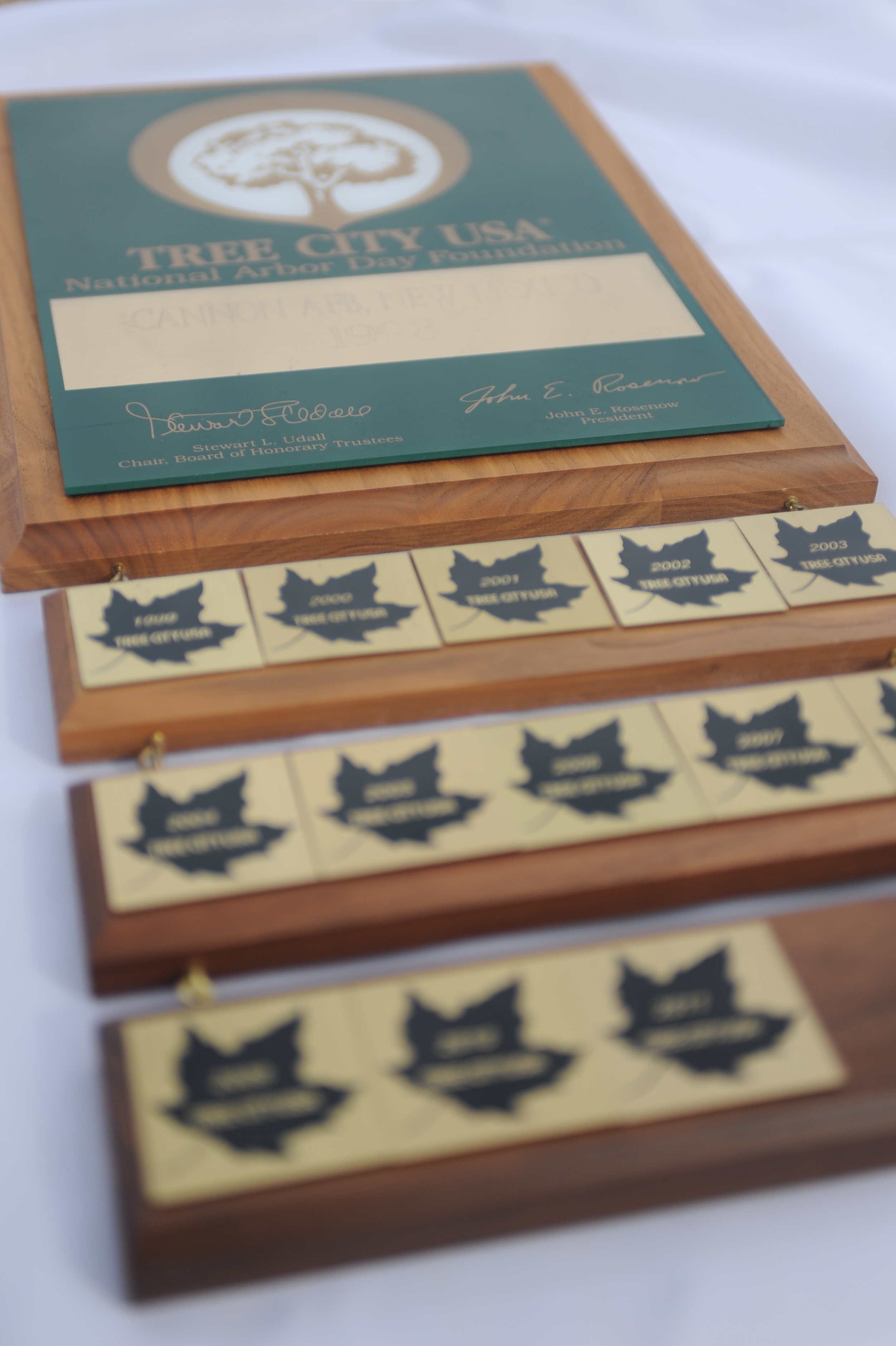 Saving the planet, one tree at a time > Cannon Air Force Base > News