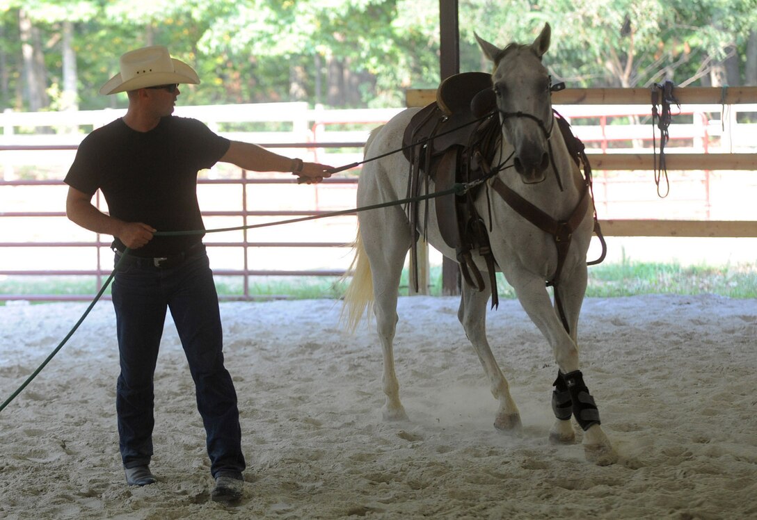 A member of a horsemanhip class works with one of the horses used in ...