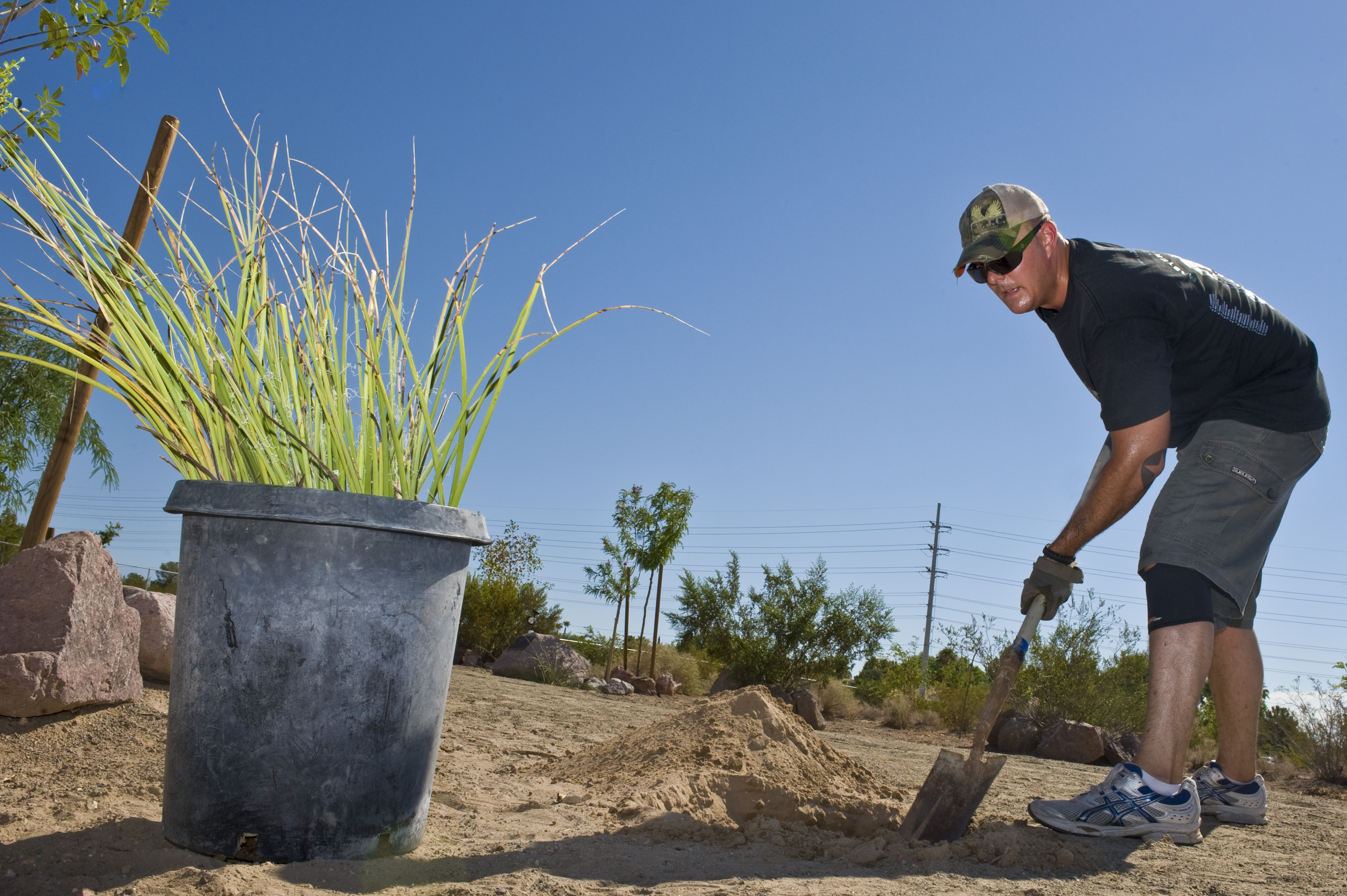Nellis Airmen participate in tree planting at Veterans Memorial Park ...