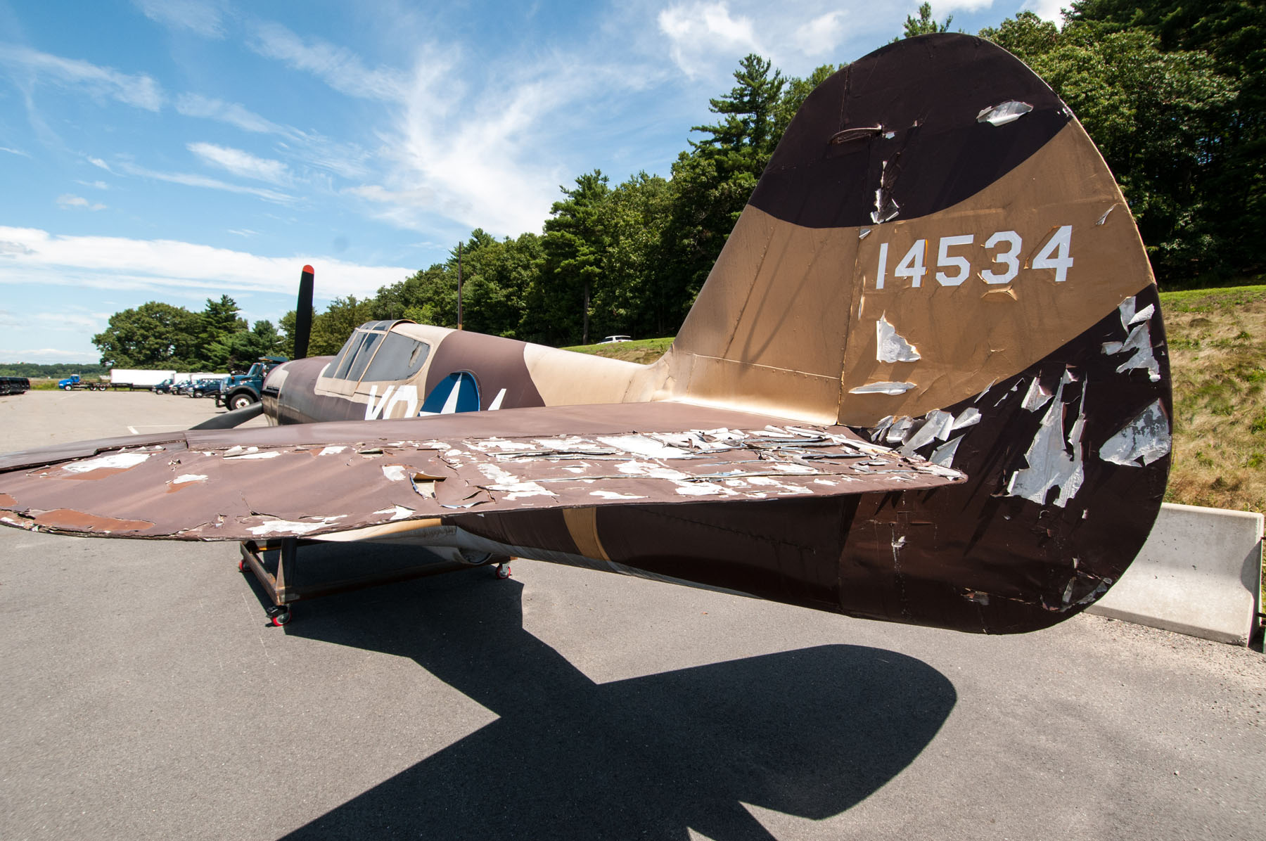 P-40 removal and restoration